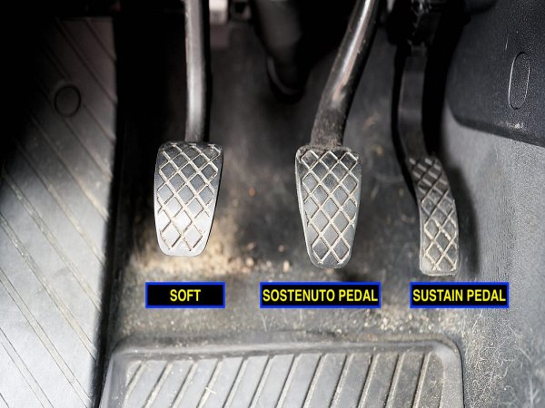 Yamaha Pianos with Sostenuto Pedal | Mark Goodwin Pianos